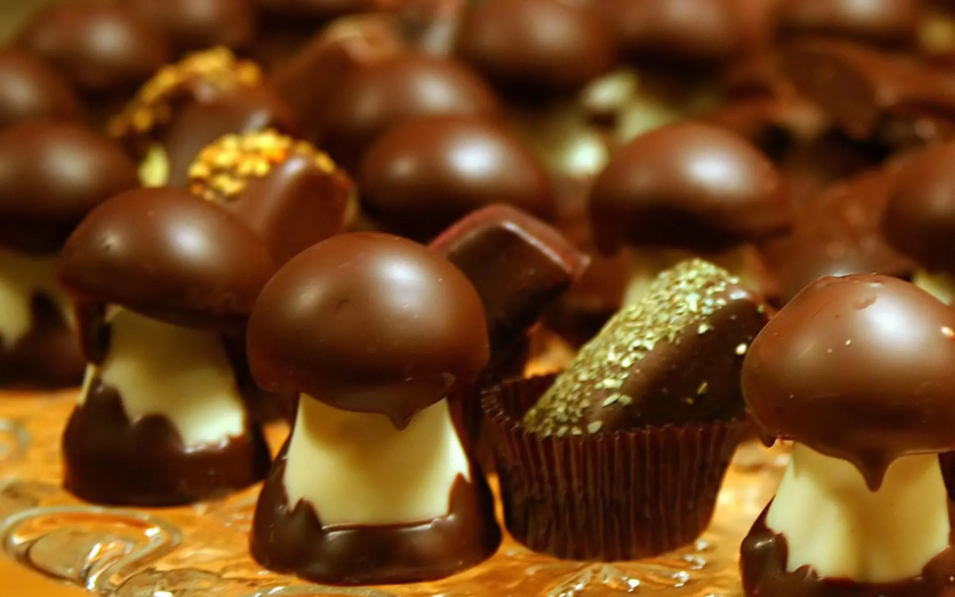 Buy Magic Mushroom Chocolates In Canada